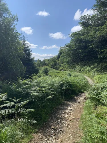 10 Best Walking Trails in Hawkshead | AllTrails