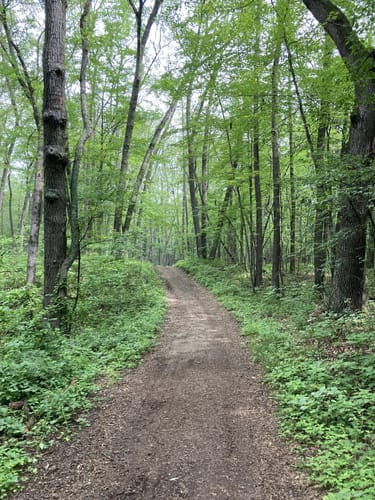 2023 Best 10 Trails and Hikes in Rochester | AllTrails