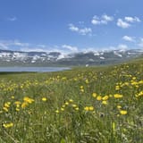 Hornstrandir : Hesteyri - Hornvík - Lónhorn, Westfjords Region, Iceland ...