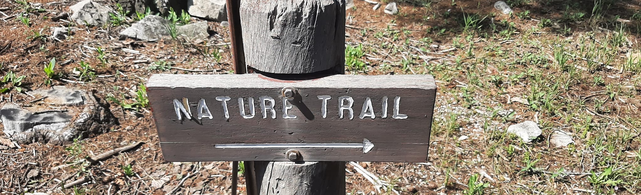 Apache Nature Trail, New Mexico - 7 Reviews, Map | AllTrails