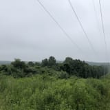 Pequest Wildlife Management Area Trails, New Jersey - 64 Reviews, Map ...