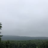 Pequest Wildlife Management Area Trails, New Jersey - 64 Reviews, Map ...