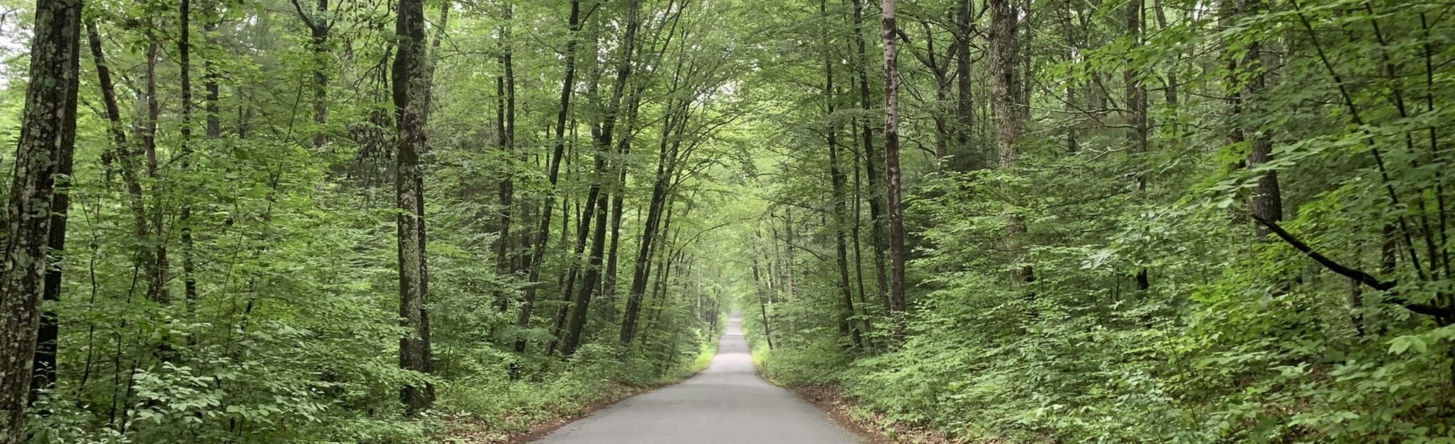 Woods Road Ski Loop, New Jersey - 22 Reviews, Map | AllTrails