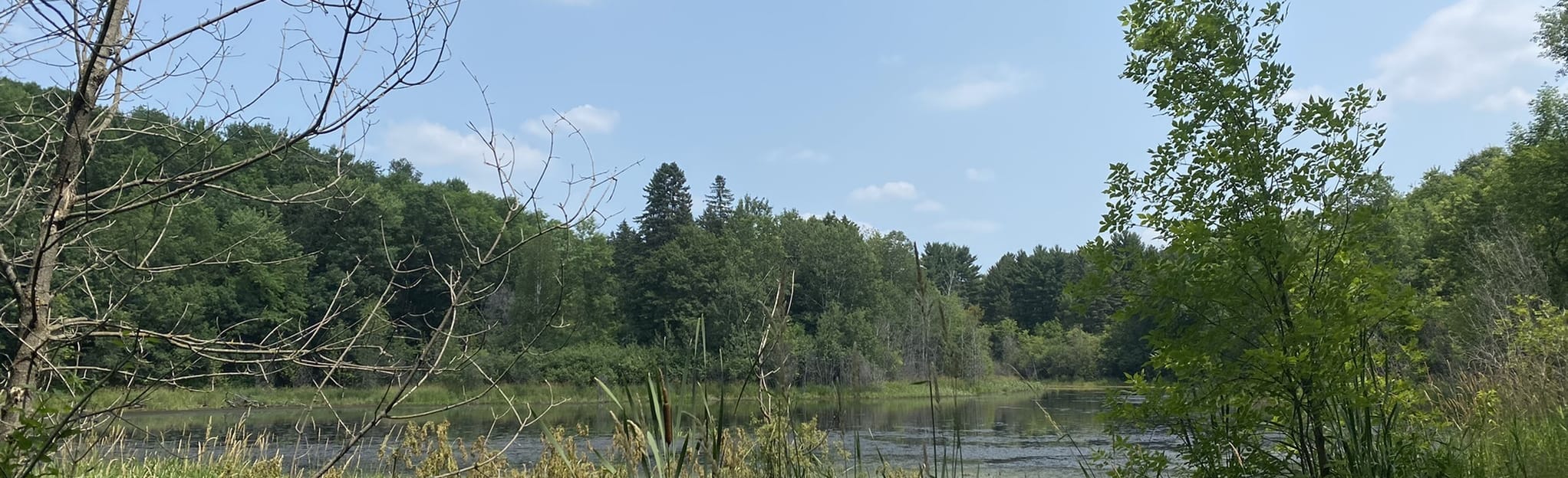 Gateway State Trail and Loon Lake Loop: 79 Reviews, Map - Minnesota ...