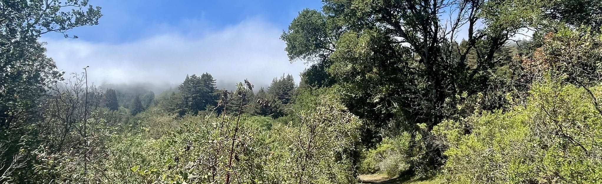 Larry Lane Trail | Map, Guide - California | AllTrails