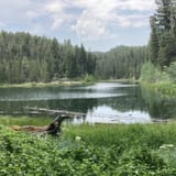 Whits Lakes Spring, Montana - 131 Reviews, Map | AllTrails