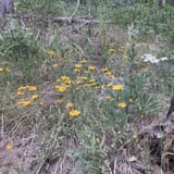 Whits Lakes Spring, Montana - 131 Reviews, Map | AllTrails