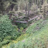 Whits Lakes Spring, Montana - 131 Reviews, Map | AllTrails