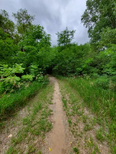 Best Hikes and Trails in Cheney State Park | AllTrails