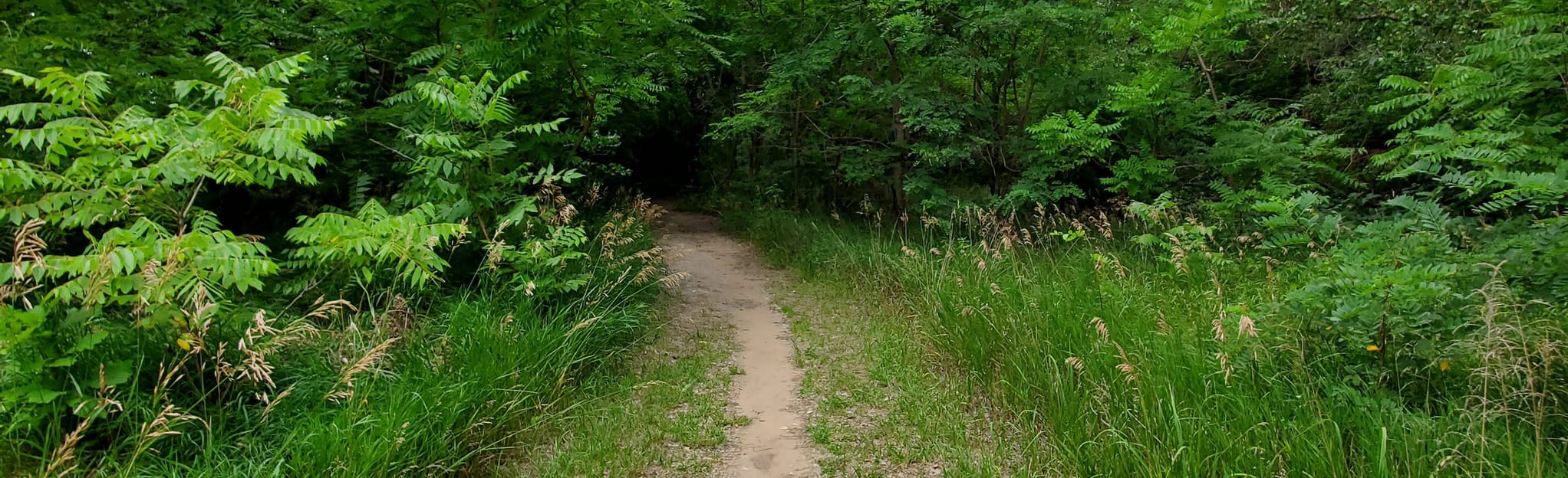 Cheney State Park West Side Trail, Kansas - 163 Reviews, Map | AllTrails