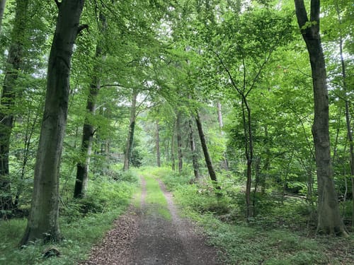 2023 Best Walking Trails in Ullerslev | AllTrails