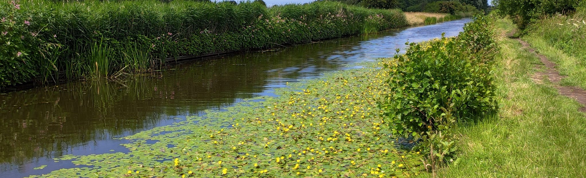 Rufford Circular, Lancashire, England - 31 Reviews, Map | AllTrails