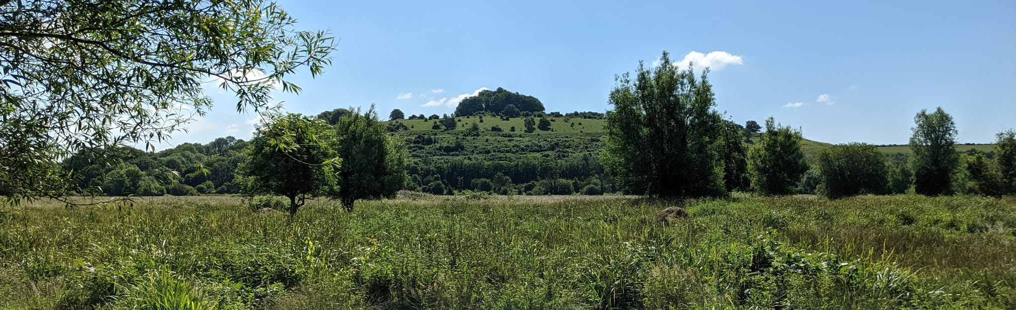 St. Catherines Hill and Itchen Way Circular, Hampshire, England - 133 ...