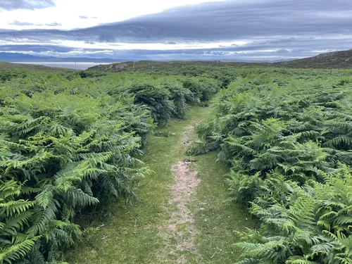 10 Best Trails and Hikes in Ullapool | AllTrails