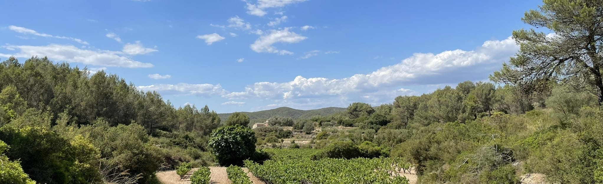 Pista de Sitges al Parc Natural del Garraf vía GR®5: 136 foto ...