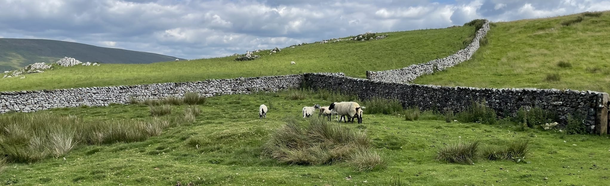 Dent and the Dales Way, Cumbria, England - 75 Reviews, Map | AllTrails