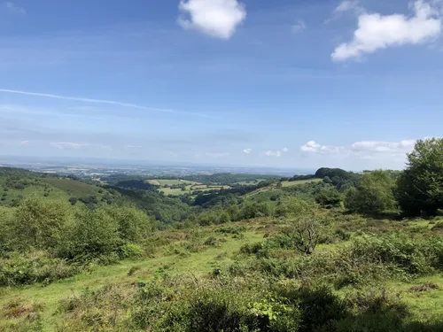 Best 10 Hikes and Trails in Quantock Hills Area of Outstanding Natural ...