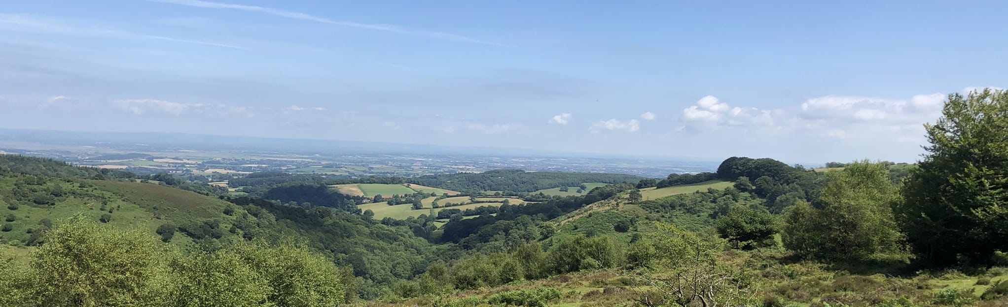 Triscombe Circular, Somerset, England - 86 Reviews, Map | AllTrails