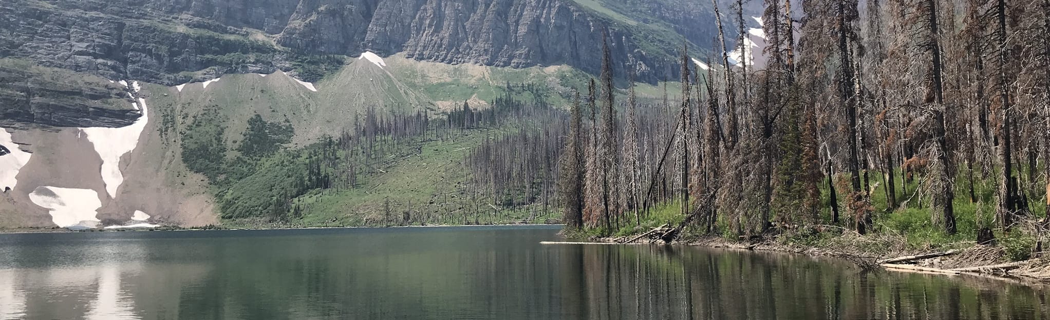 Forum Peak and Akamina Ridge Loop, Alberta, Canada - 101 Reviews, Map ...