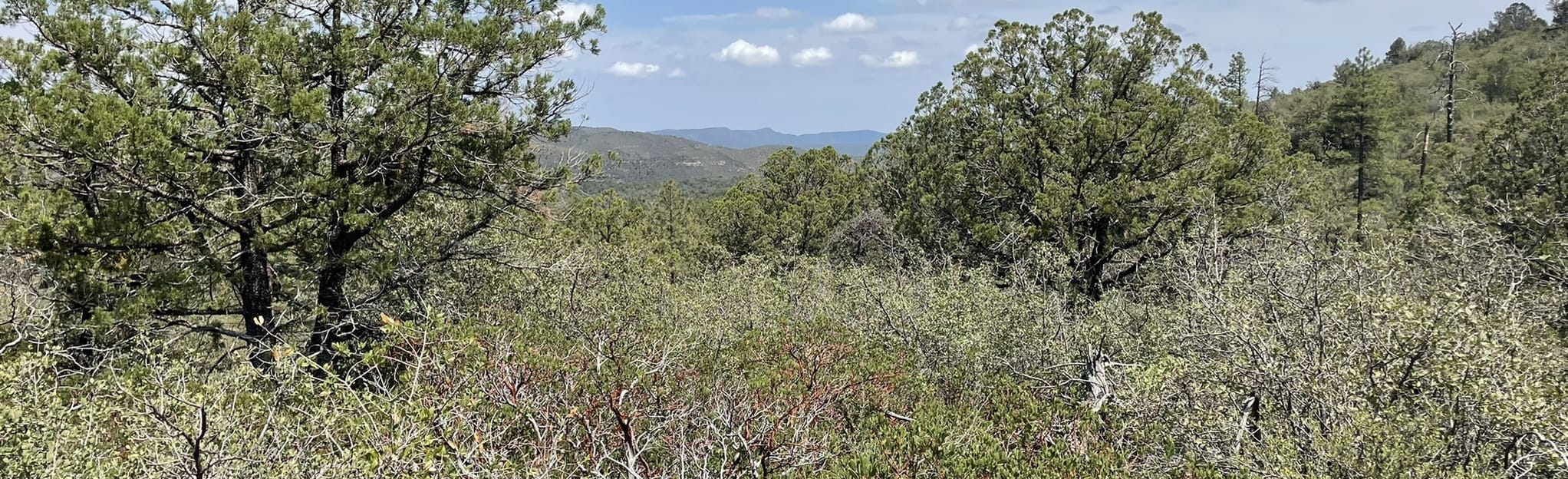 Red Rock Spring Trail: 47 Reviews, Map - Arizona | AllTrails