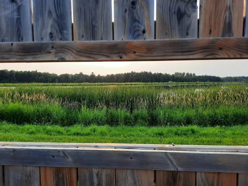 Best Hikes and Trails in Stayner | AllTrails