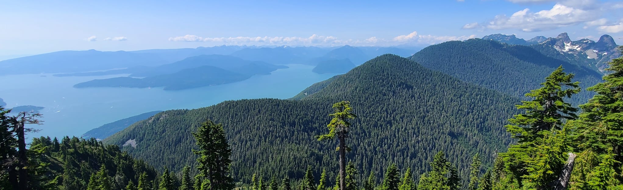 Mount Strachan South Peak via Collins Trail | Mappa, Guida - British ...