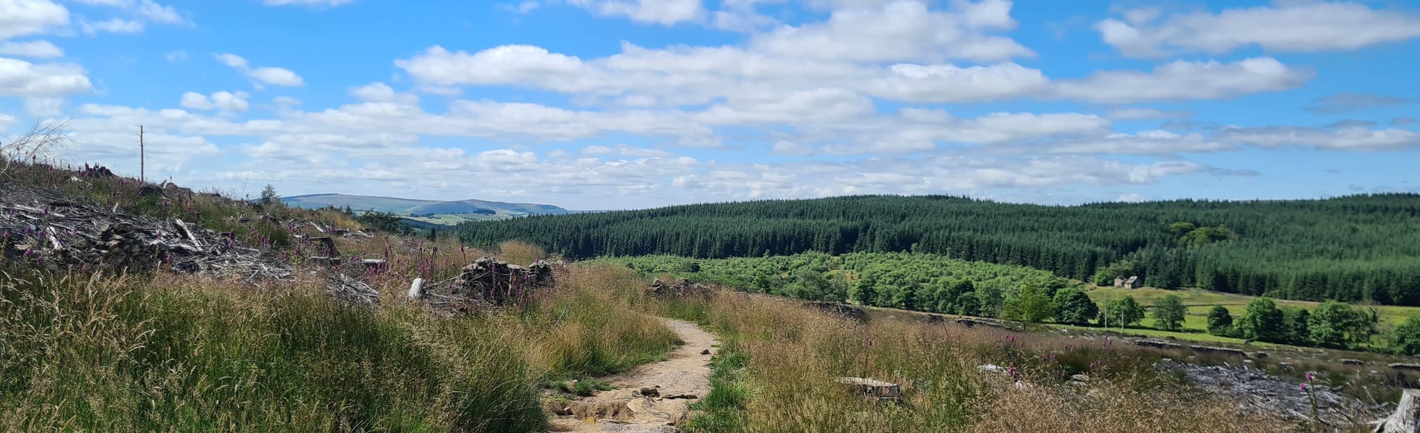 Gisburn Forest Mountain Bike Circular: 42 Reviews, Map - Lancashire ...