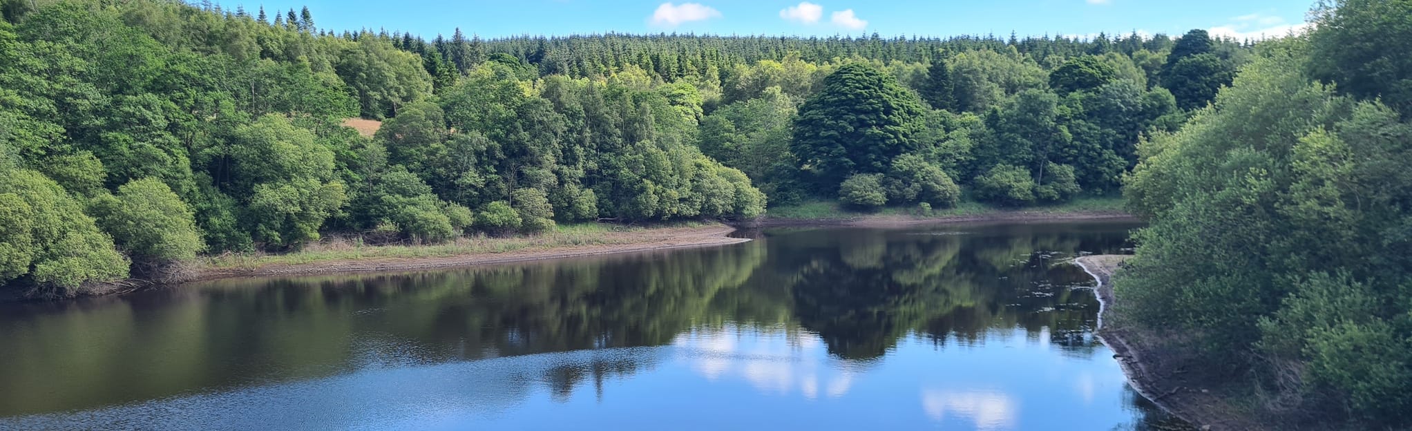 Gisburn Forest Blue Circular: 69 Reviews, Map - Lancashire, England ...