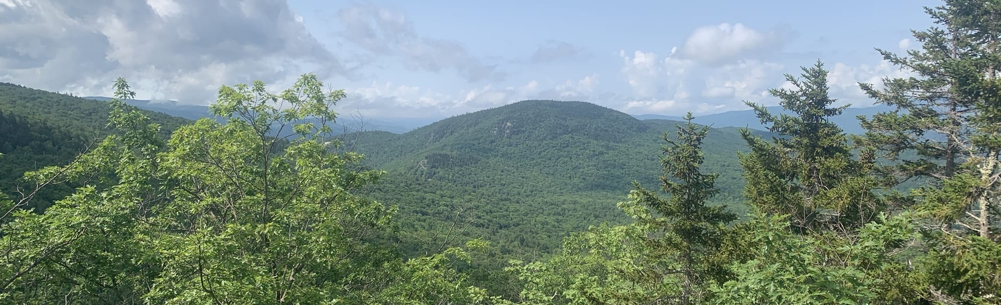 Fisher Mountain, New Hampshire - 138 Reviews, Map | AllTrails