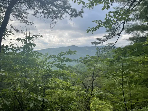 10 Best Trails and Hikes in Damascus | AllTrails