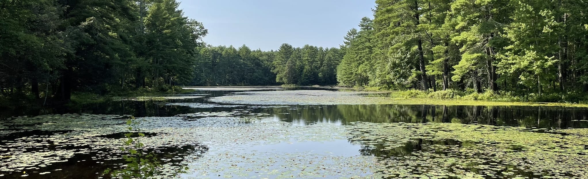 Peck Pond Loop, Rhode Island - 184 Reviews, Map | AllTrails
