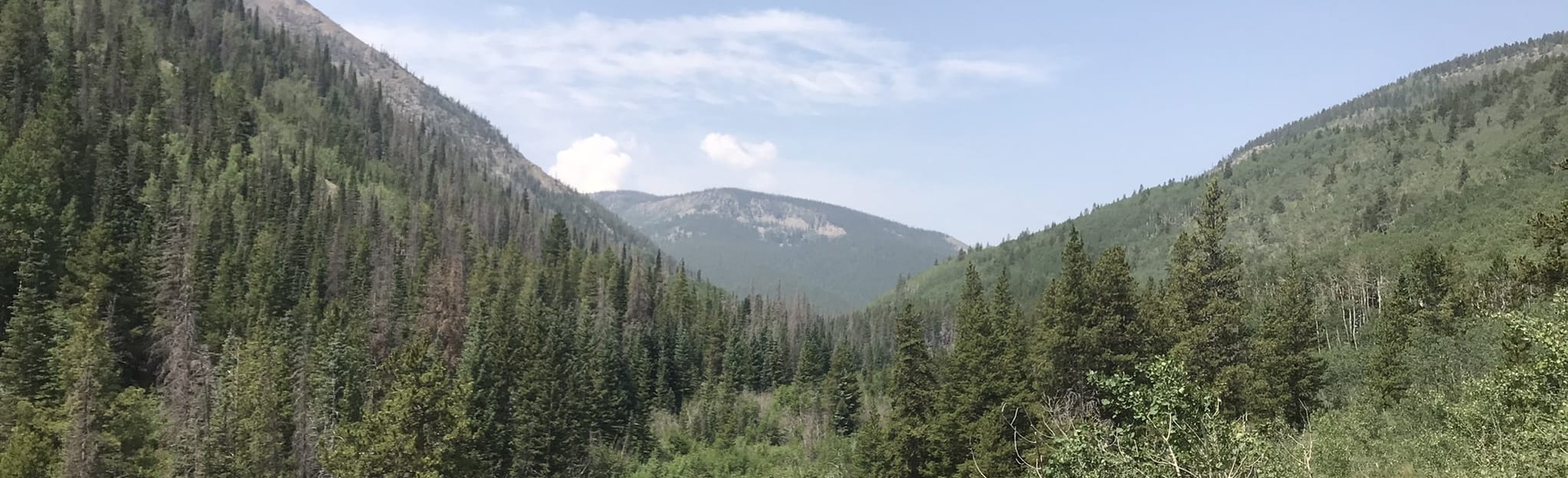 Silver Creek, Colorado - 9 Reviews, Map | AllTrails