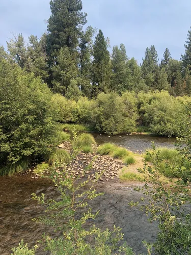 2023 Best Bird Watching Trails in Chester | AllTrails