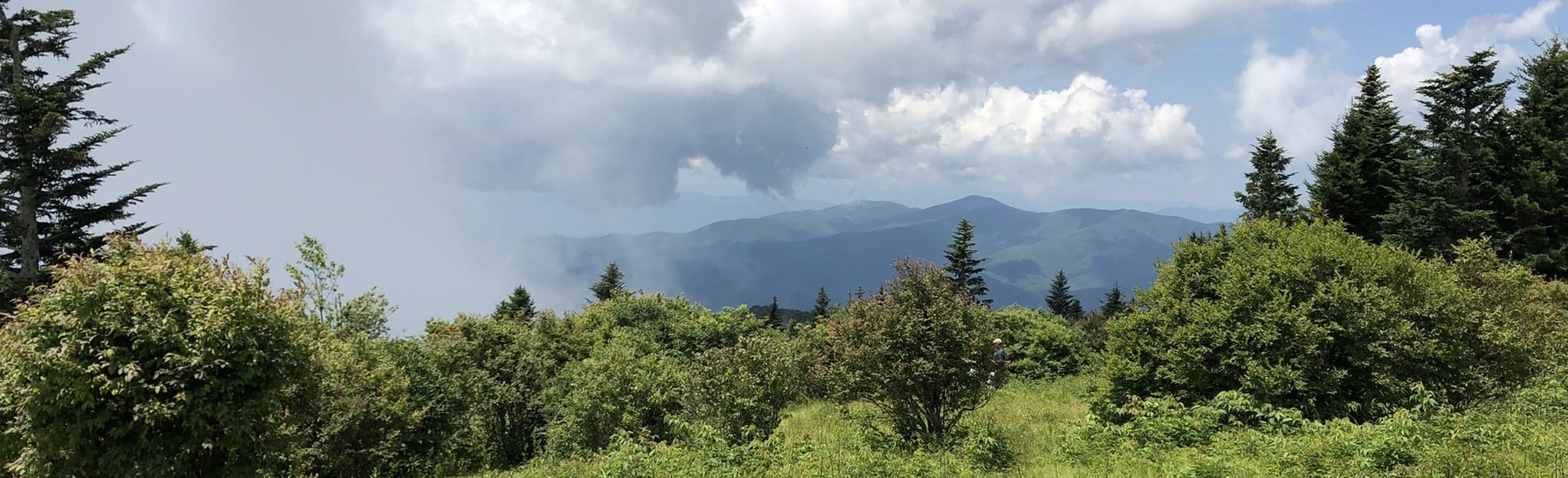 Forney Ridge Trail, North Carolina - 96 Reviews, Map | AllTrails