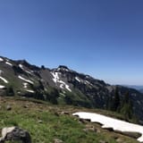 Lily Basin Trail, Washington - 92 Reviews, Map | AllTrails