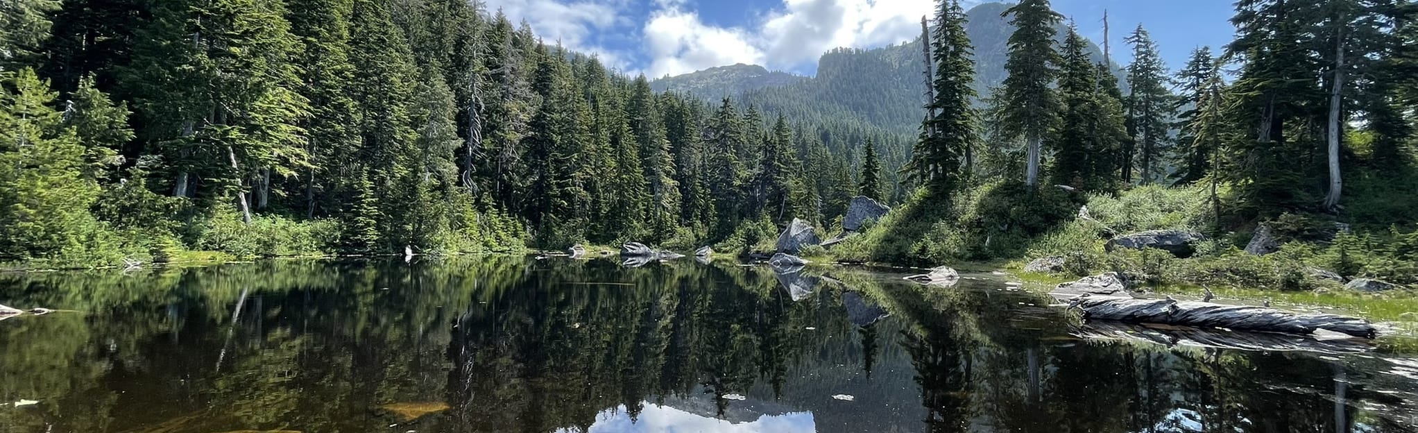 Mount Bishop, British Columbia, Canada - 18 Reviews, Map | AllTrails