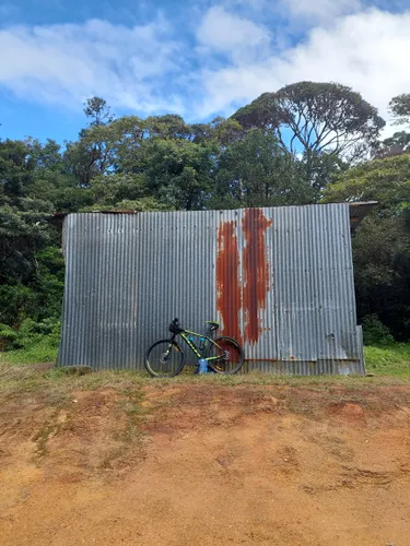 Best Hikes and Trails in Mount Lewis National Park | AllTrails