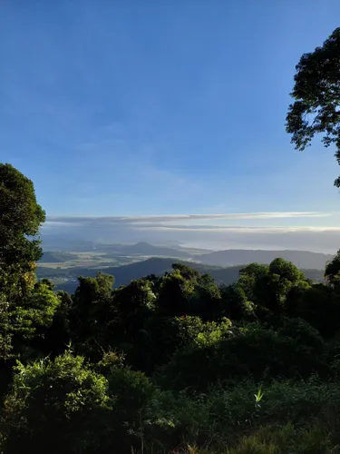 Best Hikes and Trails in Mount Lewis National Park | AllTrails