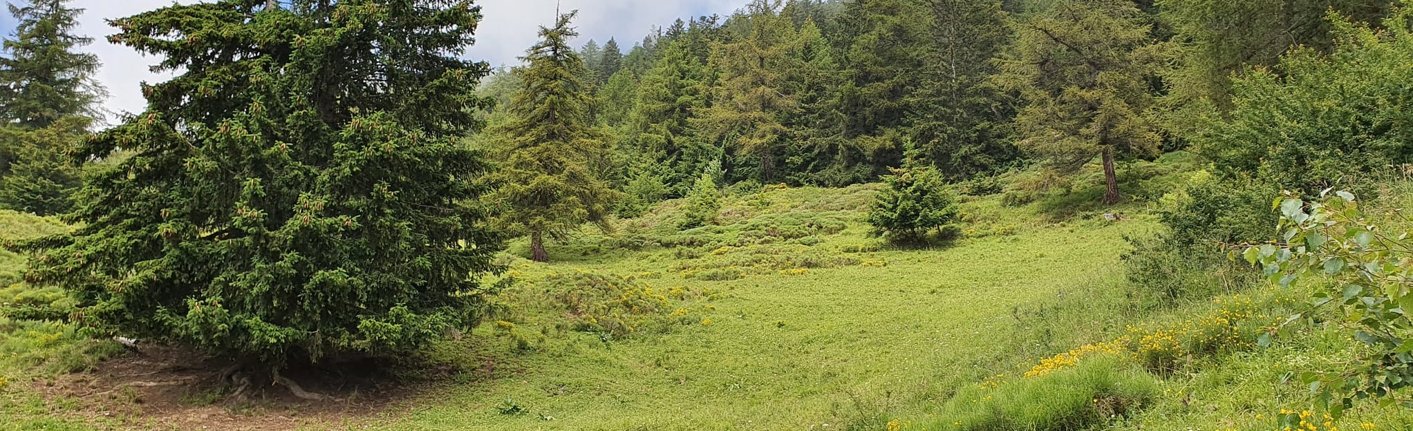 Dahu Tour: Anzère - Grillesses - Ayent: 10 Reviews, Map - Valais ...