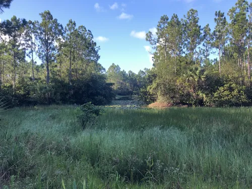 10 Best Trails and Hikes in Jupiter | AllTrails