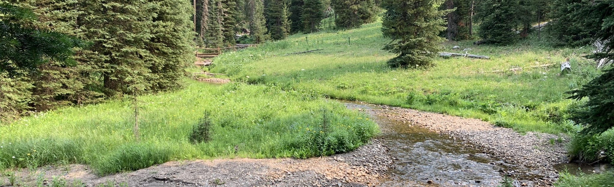 Summit View Nature Trail, Montana - 142 Reviews, Map | AllTrails