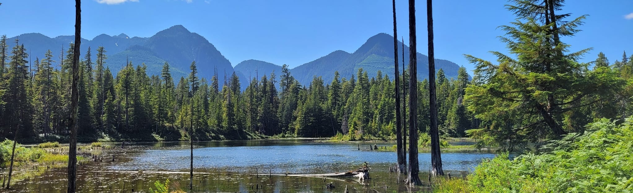 Scout Lake Loop, British Columbia, Canada - 9 Reviews, Map | AllTrails