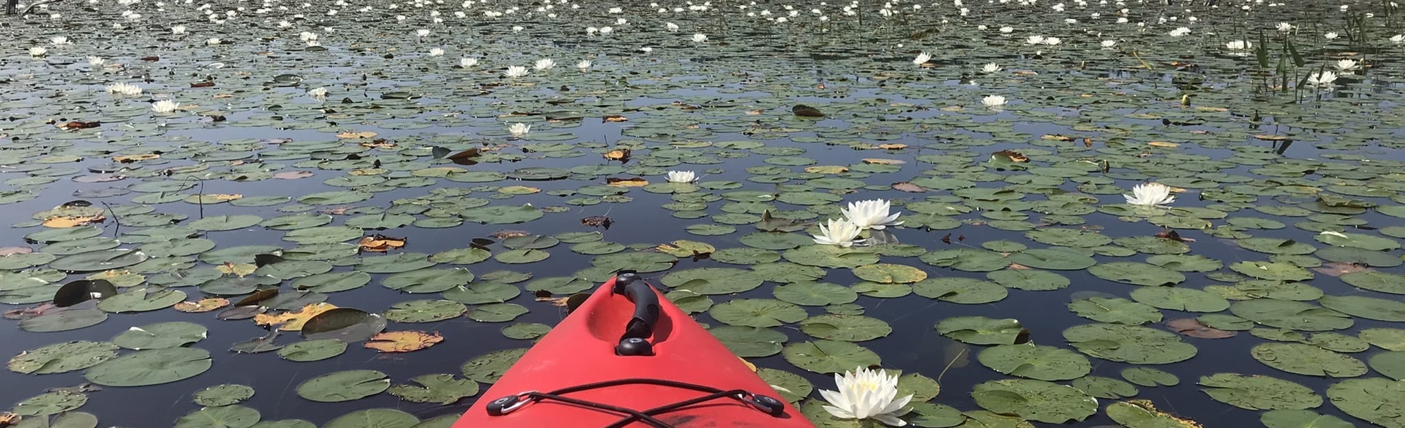 Marten River Paddle: 4 Reviews, Map - Ontario, Canada | AllTrails