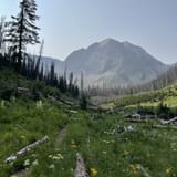 Elk Park Train Stop to Needleton, Colorado - 67 Reviews, Map | AllTrails