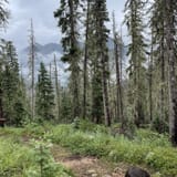 Elk Park Train Stop to Needleton, Colorado - 53 Reviews, Map | AllTrails