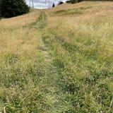 Chief Sealth Trail, Washington - 110 Reviews, Map | AllTrails