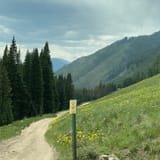 Shrine Pass Road, Colorado - 139 Reviews, Map | AllTrails