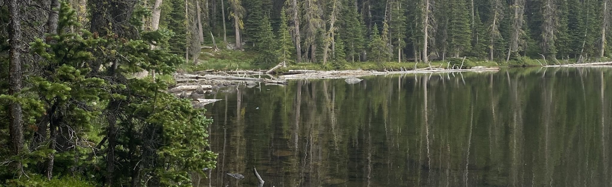 Goat Lake Trail: 36 Reviews, Map - British Columbia, Canada | AllTrails