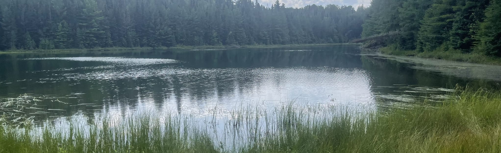 Teck Lake Trail, Ontario, Canada - 6 Reviews, Map | AllTrails