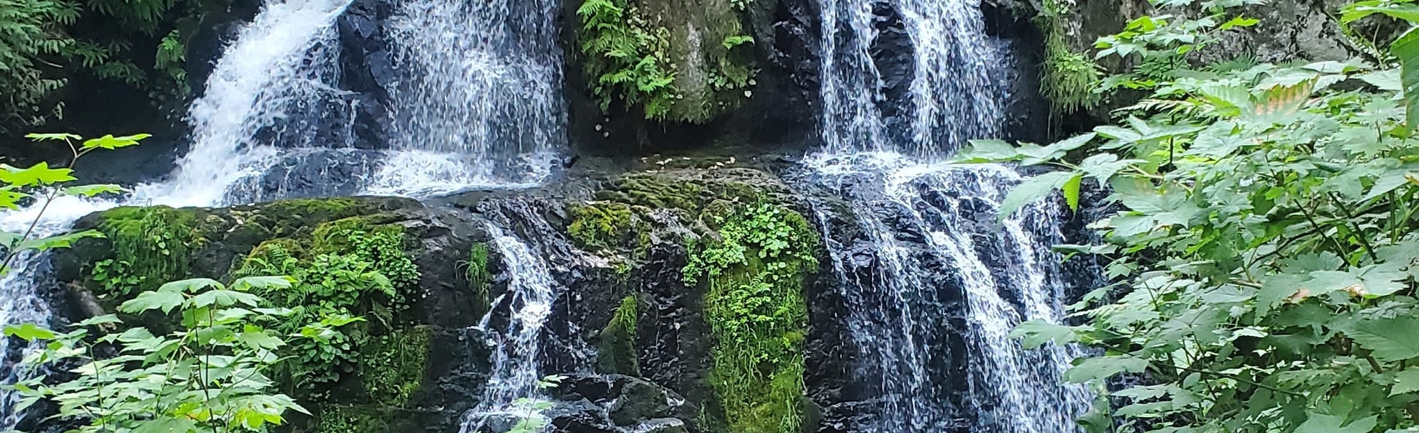 Hayward Reservoir Trail, British Columbia, Canada - 191 Reviews, Map ...